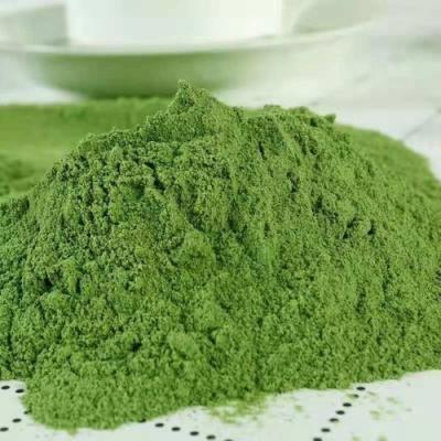 Cina Fresh Vegetable Spinach Powder Bulk Organic Red Spinach Extract in vendita