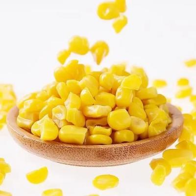 Cina Mygou Foods Canned Sweet Kernel Corn Plastic In Brine Fresh Full Grain in vendita