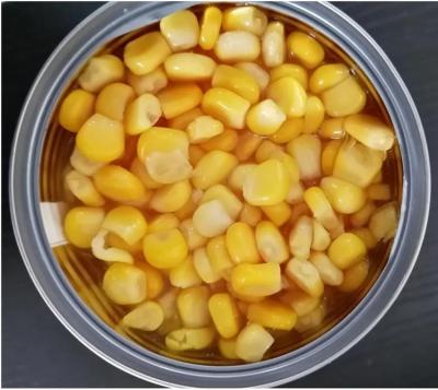 Cina Mygou Foods Canned Sweet Kernel Corn Plastic In Brine Fresh Full Grain in vendita