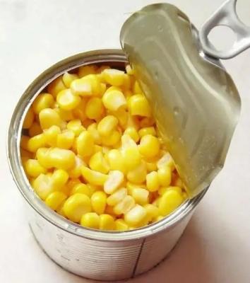 China Canned Sweet Corn Multi Specification Supply Mygou Foods for sale