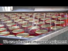 XinJiang Fresh Tomato Paste Sauce 400g From Mygou Foods