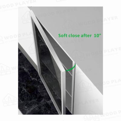 Cina la tazza di 12.0mm ha celato i montaggi regolabili dell'hardware della mobilia delle cerniere di porta 3d in vendita