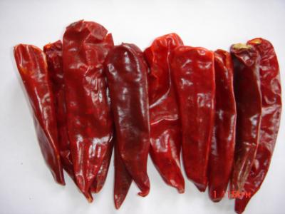 China YIDU CHILLI for sale