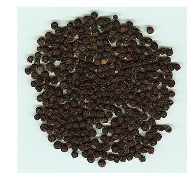 China BLACK PEPPER GROUND for sale