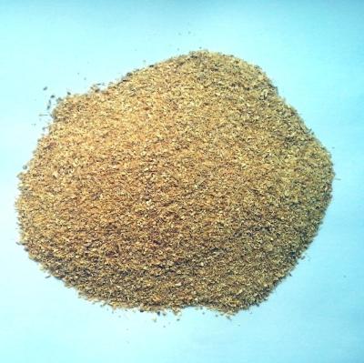 China DRIED GINGER MINCED 26-40MESH for sale