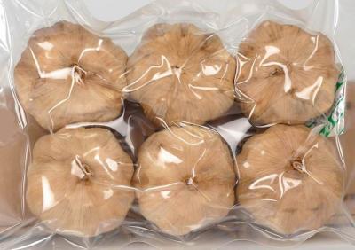 China Black garlic 6pcs packing (Chinese elephant garlic) for sale