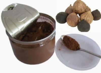 China Black garlic powder 100mesh for sale