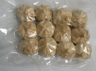 China Fermented Black garlic 500g packing for sale