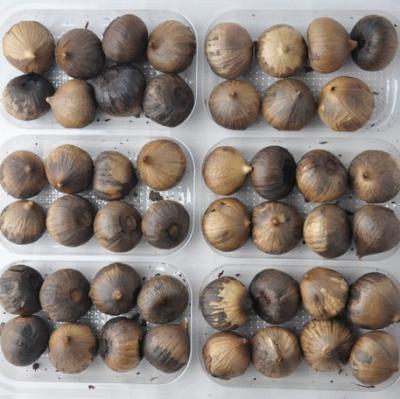 China Aged Black garlic for sale