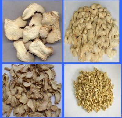 China DEHYDRATED WHOLE GINGER for sale