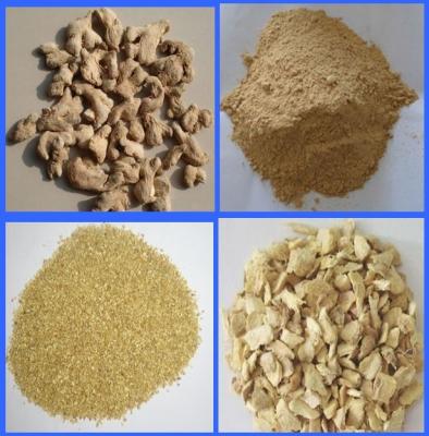 China DEHYDRATED GINGER GRANULES 0.5CM for sale