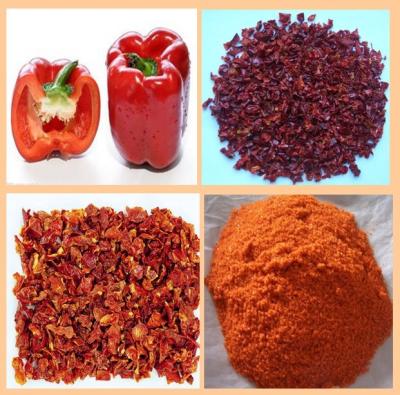 China DRIED RED BELL PEPPER 9X9MM for sale