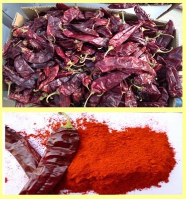 China WHOLE SWEET PEPPER for sale