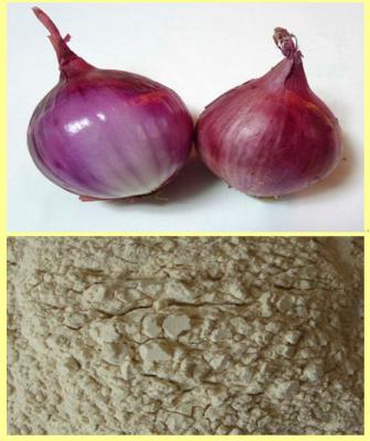 China DRIED RED ONION POWDER for sale