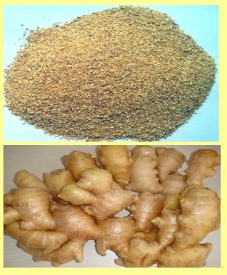 China DRIED GINGER GRANULES 20-40MESH for sale