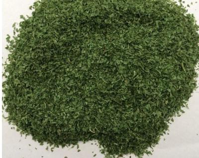 China DRIED PARSLEY LEAVES 5X5MM for sale