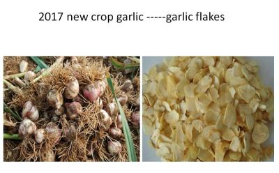 China Dehydrated garlic flakes with root, 2017 new crop (2.0-2.2mm),20KG/CTN for sale
