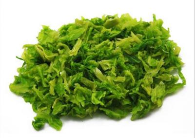 China Dehydrated cabbages15x15mm,2017 new crop with bright green colour for sale