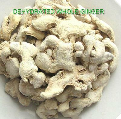 China Dehydrated whole ginger ,pure natural orgnic produts for sale