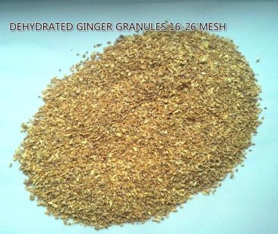 China Dehydrated ginger granules16-26mesh,natural orgnic ginger products,GRADE A for sale