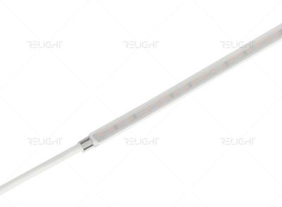 China 1010 40x65°Angle Series Neon Strip Light 2835 2700K 3000K 4000K 6500K 24V LED Neon Flex for sale