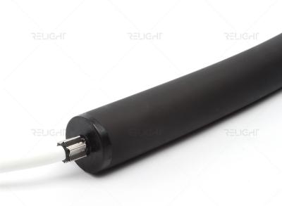 China D25mm 360° Black Neon Light Strip 2835 24V RGB Neon Light Strip for sale