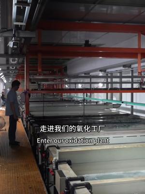 China Sandblasting And Brightening Anodizer Machine Oxidation Production Line For 6 Series Aluminum Alloy for sale