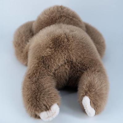 Cina Fabbricazione Stress Relief e abbracciabile Soft Sloth Plush Stuffed Sloth Pillow in vendita