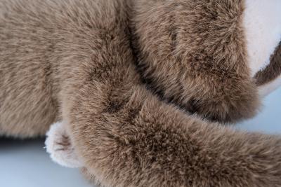 Cina Fabbricazione Stress Relief e abbracciabile Soft Sloth Plush Stuffed Sloth Pillow in vendita