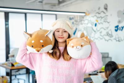 中国 柔らかいスパンデックス 毛布 コルギー 枕 詰め物 動物 毛布 玩具 可愛いデザイン 販売のため