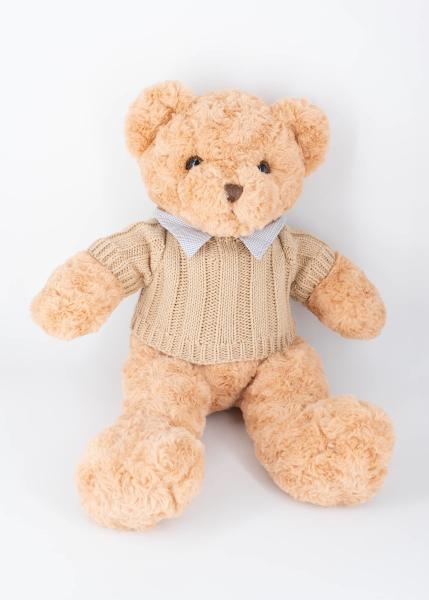 Quality All Ages Soft Plush Toys Teddy Bear Personalized Text Image And Outfits For for sale