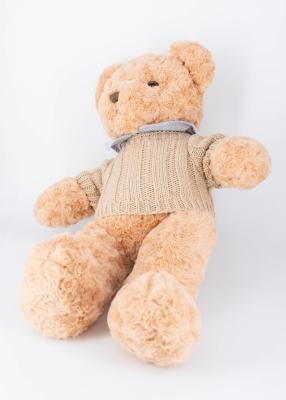 Cina Tutti gli anni giocattoli di peluche morbidi orso di peluche immagine di testo personalizzato e abiti per regali unici in vendita