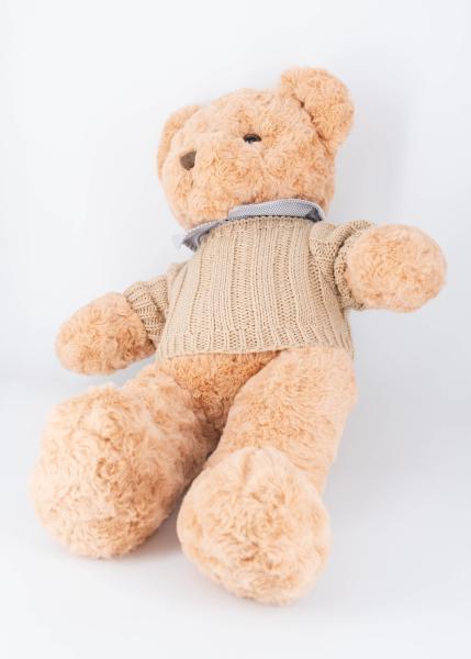 Quality All Ages Soft Plush Toys Teddy Bear Personalized Text Image And Outfits For for sale