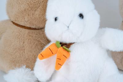 Cina OEM Regalo Soft Plush Toy Mascotte Soft Bunny Rabbit Stuffed Animal Immagini personalizzate in vendita