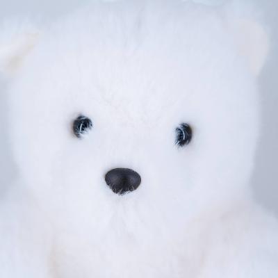 China Animal Character Adorable Simulated Polar Bear Dolls Soft Stuffed Animals Plush Toys for sale