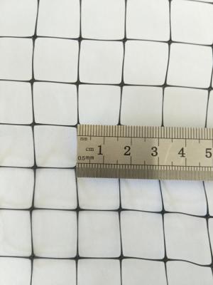 China Free Sample/ Anti Bird Netting/ Oriented Plastic Netting/ PP+UV/ Black/ Hot Sale in EUROPE for sale