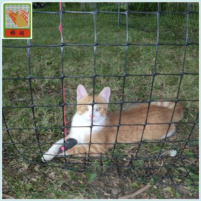 China Deer control plastic mesh fencing, PP+UV, 1.5m*100M, BLACK for sale