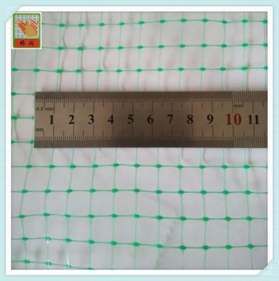 China Crop, Pond and Premium Bird Netting/Mesh size:12mm*12mm/ UV Stablished/ color: black for sale