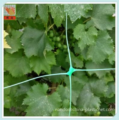 China Filets d'escalade pois et haricots-filet de pois et haricots, support de plantes, couleur: vert ou blanc for sale