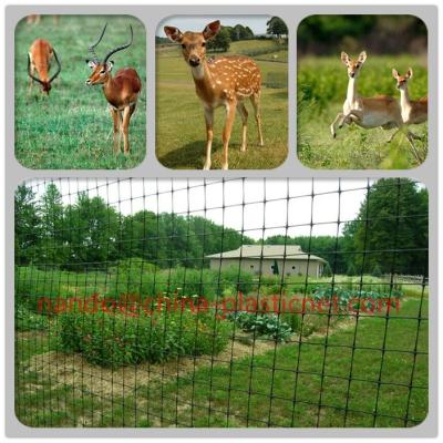 China Rabbit & Deer Fence Netting,  50mm black mesh plastic netting-UV stabilised for sale