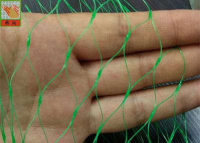 China Bird Netting , Agriculture & Farming , Diamond Hole , HDPE Materials , Green Color for sale