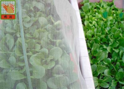 China Anti Insect Mesh , Agriculture Insect Netting , HDPE Materials , White Color for sale