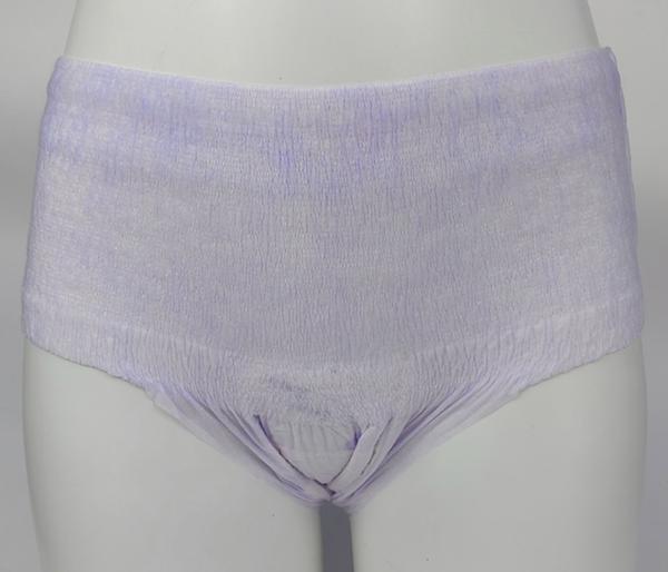 Quality Single- Comfort Disposable Period Underwear for Sleep Featuring Odor-resistant Technology Ensuring Freshness and Comfort Overnight for sale