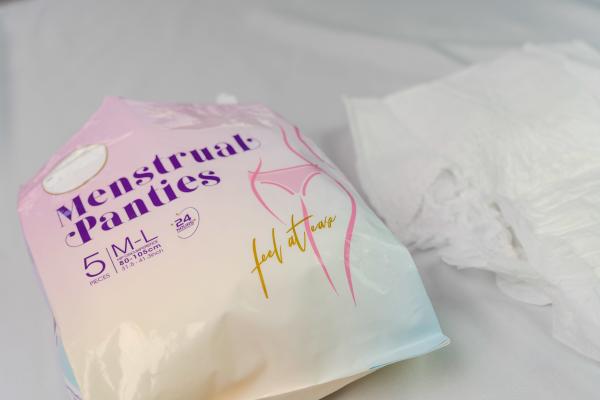 Quality Menstrual Protection Overnight Period Panties OEM Protection Night Time Period Pants for sale