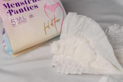 China 3 Years 360 Period Panties Full Coverage Period Underwear Overnight For Menstruating for sale