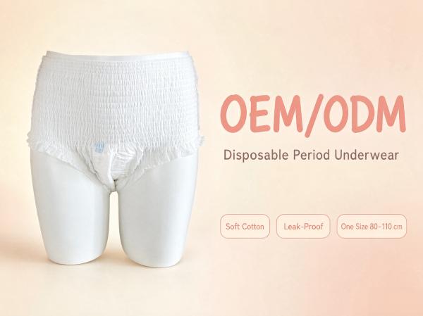 Quality OEM Period Panties leak resistant underwear designed for overnight offering maximum comfort and heavy flow protection for sale