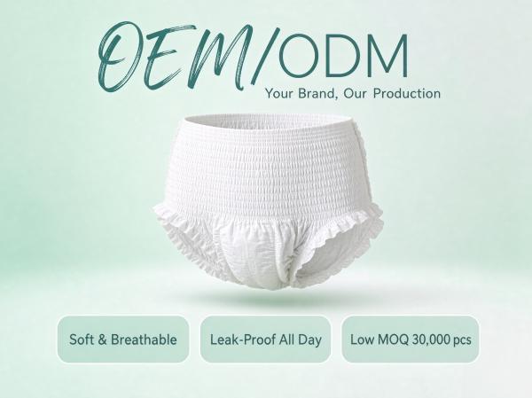 Quality Lock-in Core Disposable Menstrual Panties ultra absorbent fabric combined with seamless design for discreet overnight period protection for sale