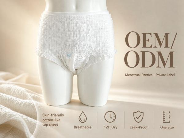 Quality 3D Waistband Premium Disposable Period Panties soft moisture wicking underwear offering secure leak protection during overnight wear for sale