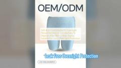 Best Overnight Period Panties for Leak Free Sleep