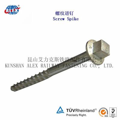 China Customized Screw Spike Manufacturers for Steel Rail Fastening for sale